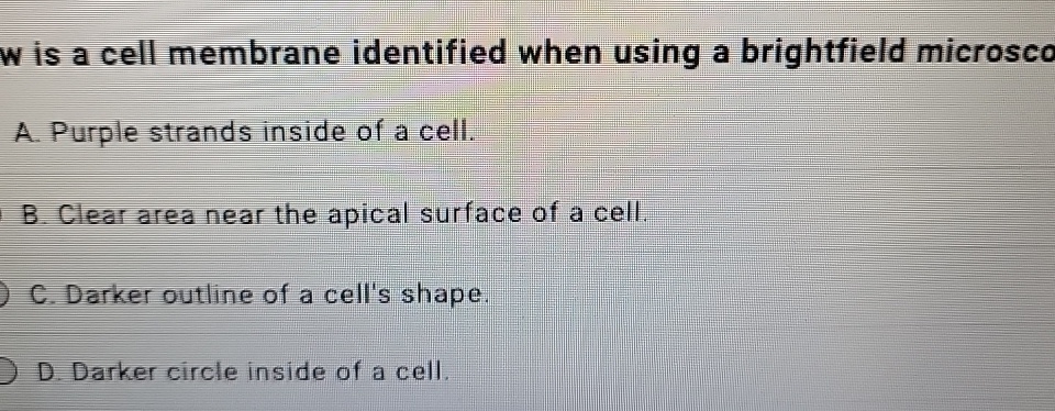 Solved w is a cell membrane identified when using a | Chegg.com