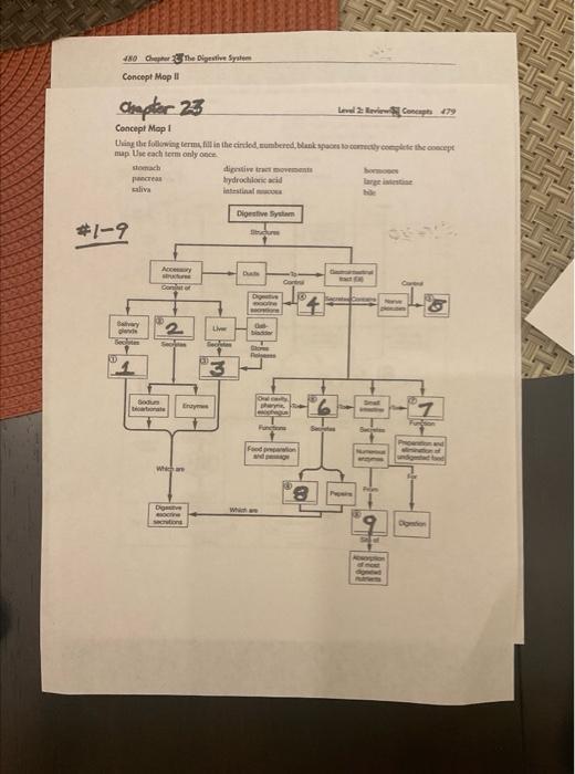 Solved Concept Mep II map. Ulice each ierm only | Chegg.com Solved Concept Mep II map. Ulice each ierm only | Chegg.com