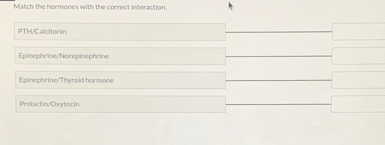 Solved Match the hormones with the correct interaction. | Chegg.com
