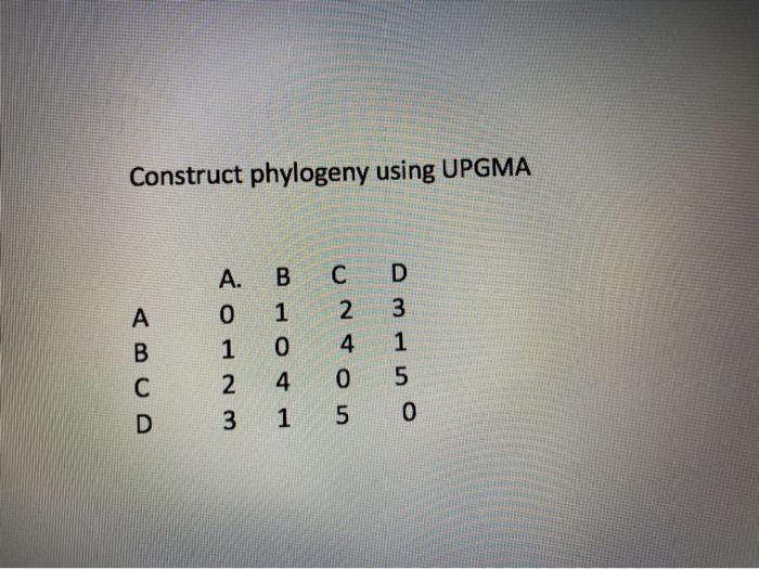 Solved Construct phylogeny using UPGMA A. C ABCD ANTO? 0 1 3 | Chegg.com