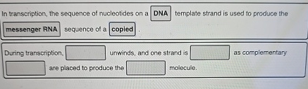 Solved In transcription, the sequence of nucleotides on a | Chegg.com