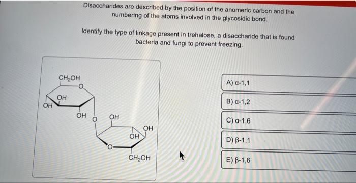 Solved Sugars that can freely interconvert between the | Chegg.com