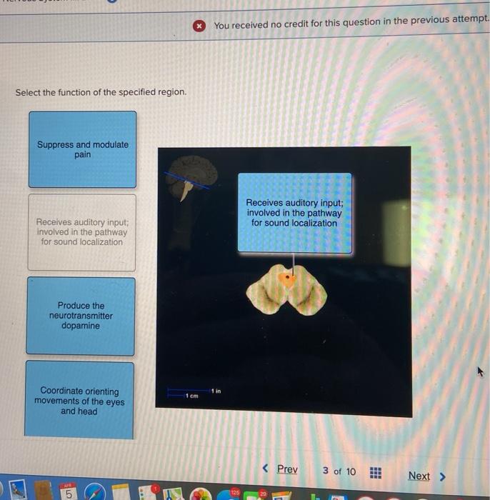 Solved You received no credit for this question in the | Chegg.com