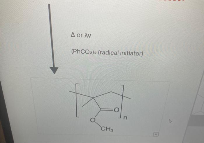 Solved Draw the major monobromination nrodiunt af thin | Chegg.com