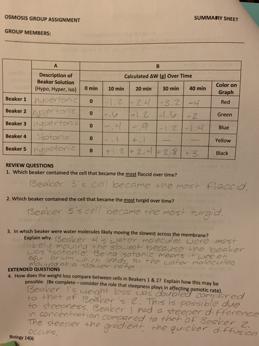 OSMOSIS GROUP ASSIGNMENT (This assignment is based | Chegg.com