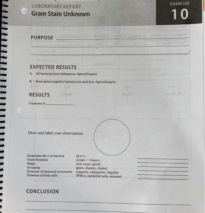 Solved EXERCISE LABORATORY REPORT Gram Stain Unknown 10 | Chegg.com