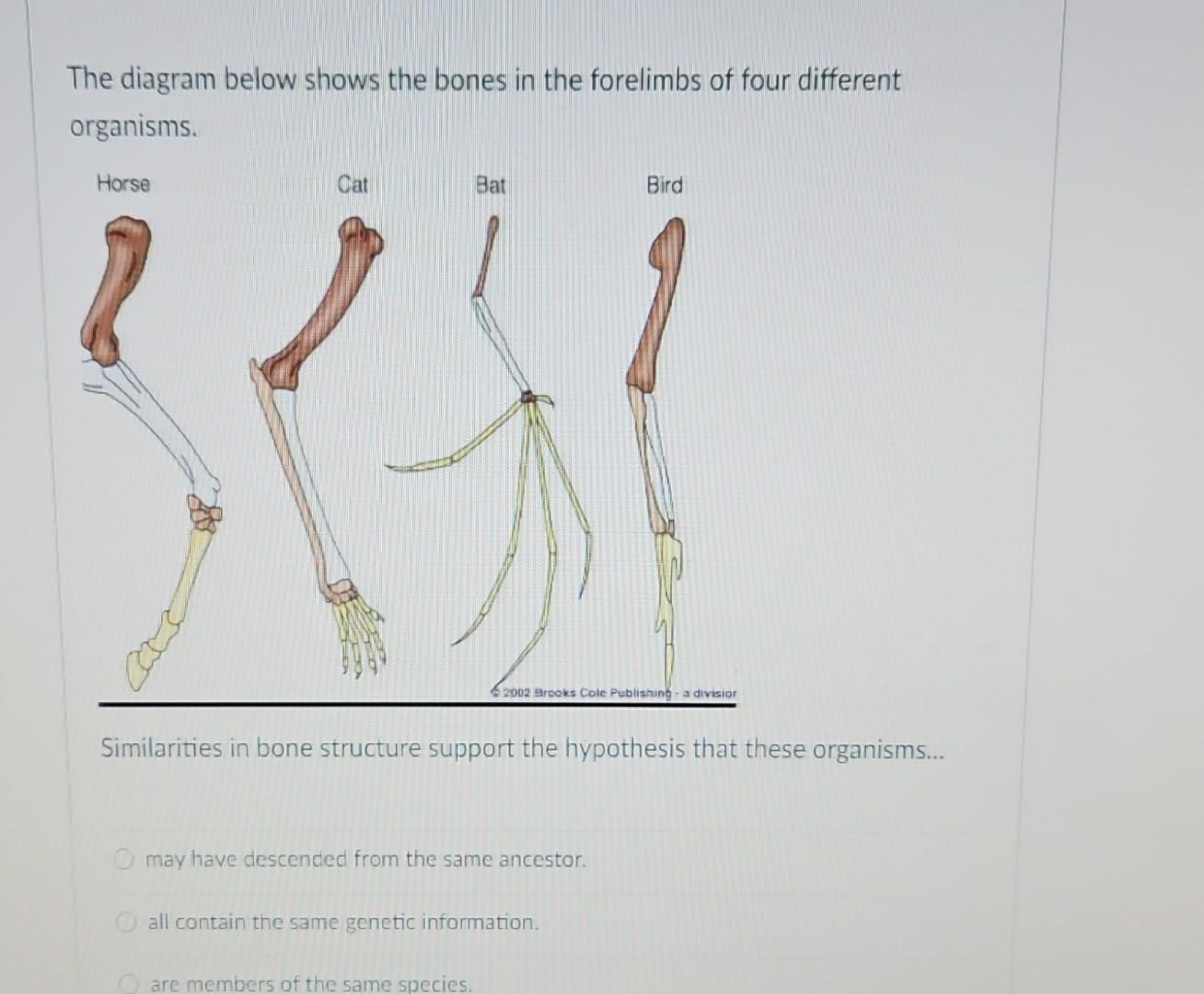 Solved The diagram below shows the bones in the forelimbs of | Chegg.com
