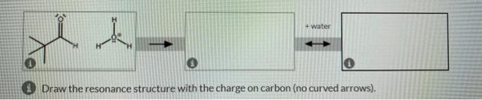 Solved first box: draw curved arrow notation to show proton | Chegg.com