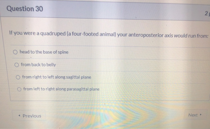 Solved Question 30 If you were a quadruped (a four-footed | Chegg.com