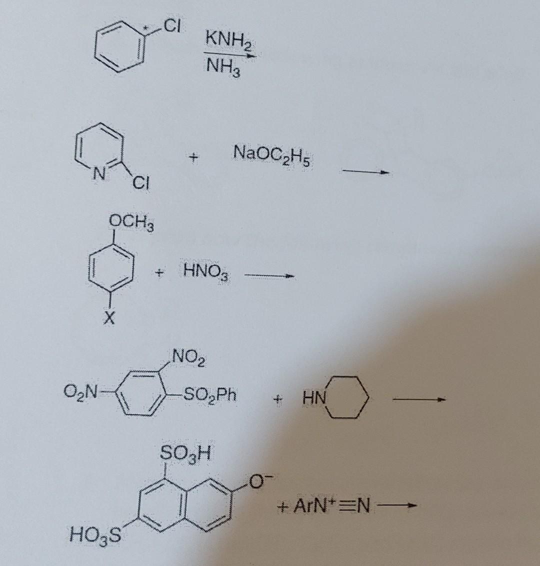 Solved NH3KNH2 +HNO3 +ArN+≡N | Chegg.com