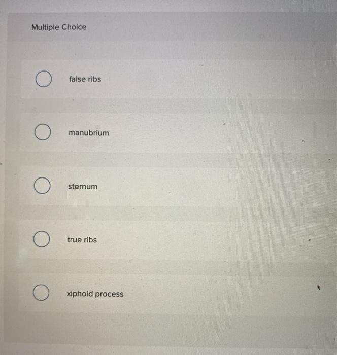 Solved Which structure is highlighted? Multiple Choice | Chegg.com