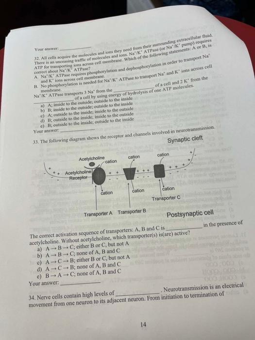 32. All cells acquite the molecules and ions they | Chegg.com