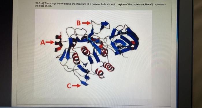 Solved [CLO-4] The Image below shows the structure of a | Chegg.com