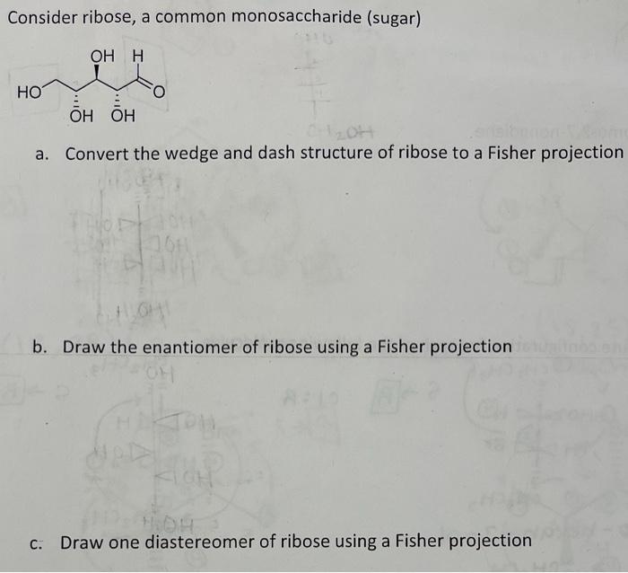 Solved Can you explain how to build the fisher projection | Chegg.com