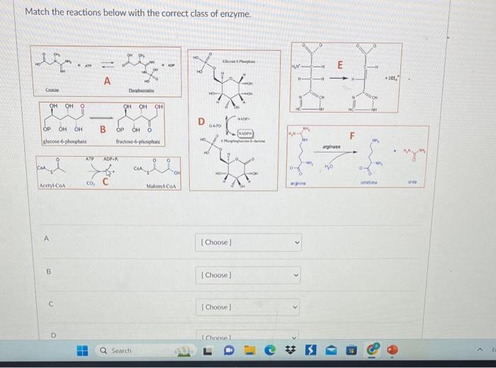 Match the reactions below with the correct class of | Chegg.com