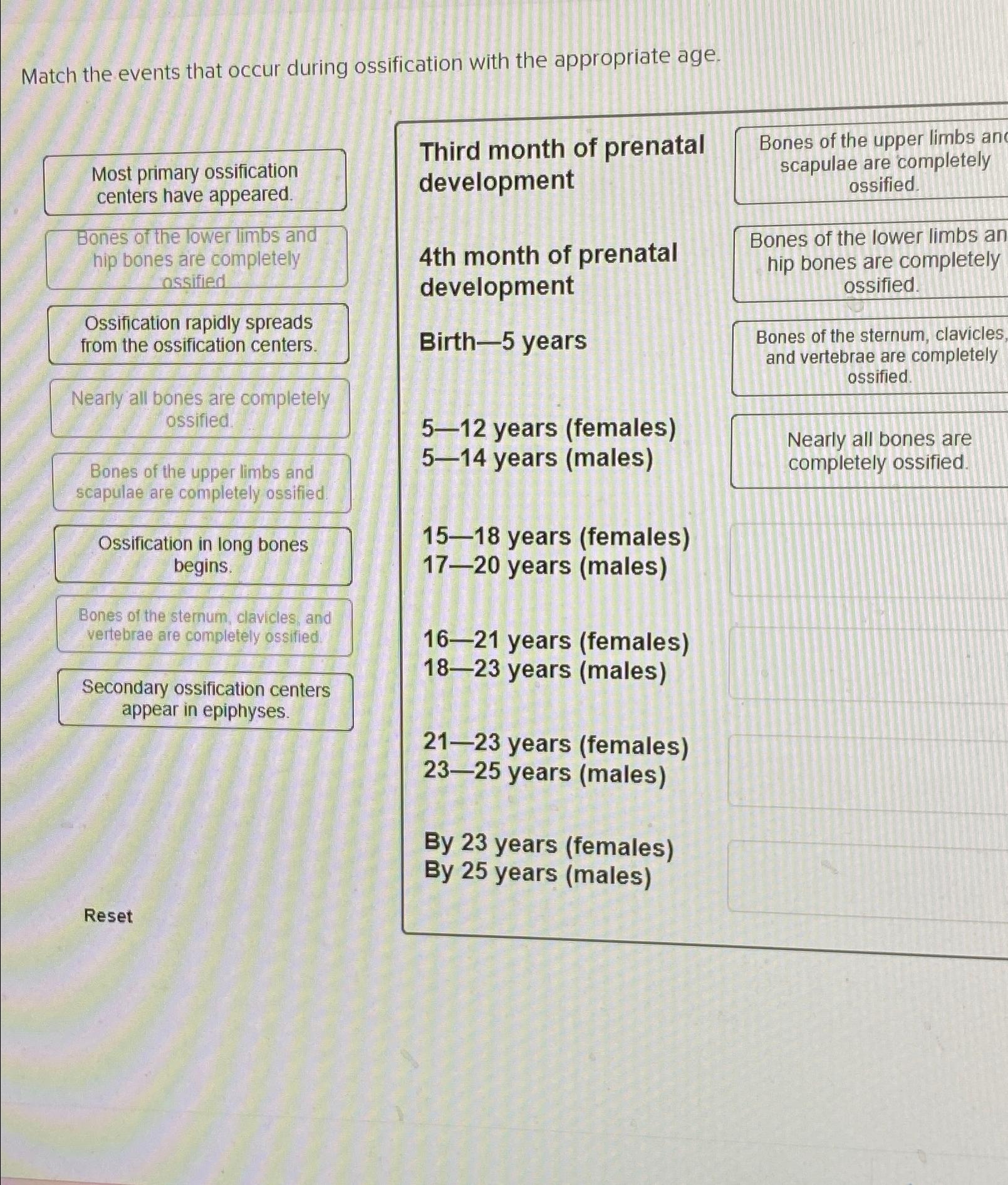 Solved Match the events that occur during ossification with | Chegg.com