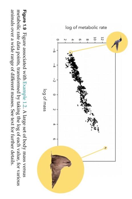 Solved Kleiber's law and linear regression After collecting | Chegg.com
