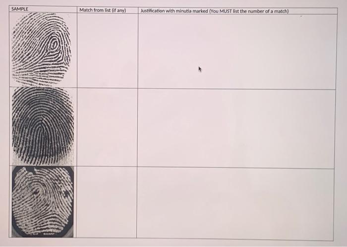 SAMPLE Fingerprint Assignment Group 2. Identify the | Chegg.com