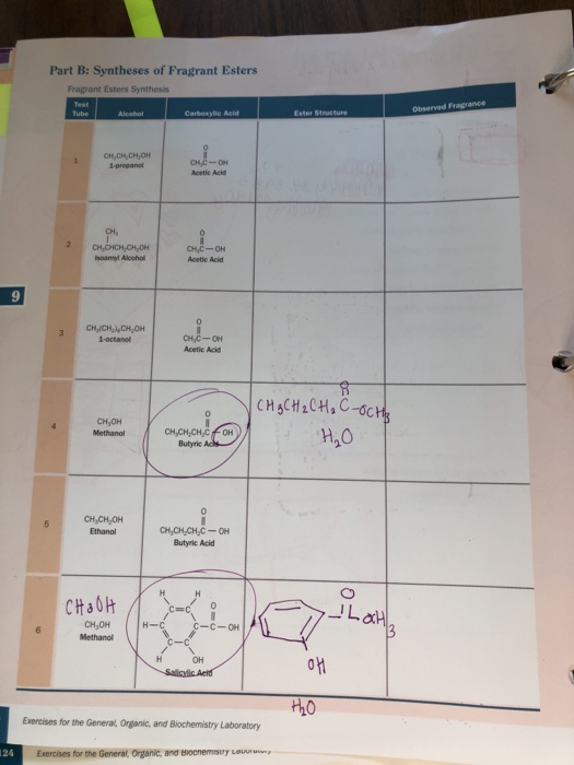 Solved Part B: Syntheses of Fragrant Esters Fragrant Esters | Chegg.com