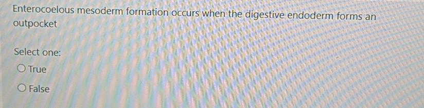 Solved Enterocoelous mesoderm formation occurs when the | Chegg.com