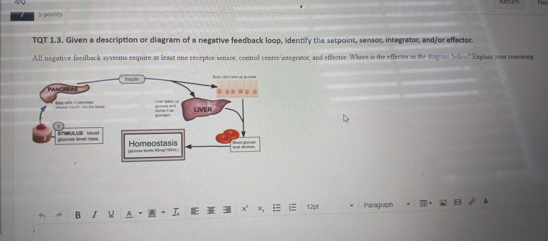 TQT 1.3. Given a description or diagram of a negative | Chegg.com