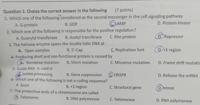 Solved Question 1: Choice the correct answer in the | Chegg.com