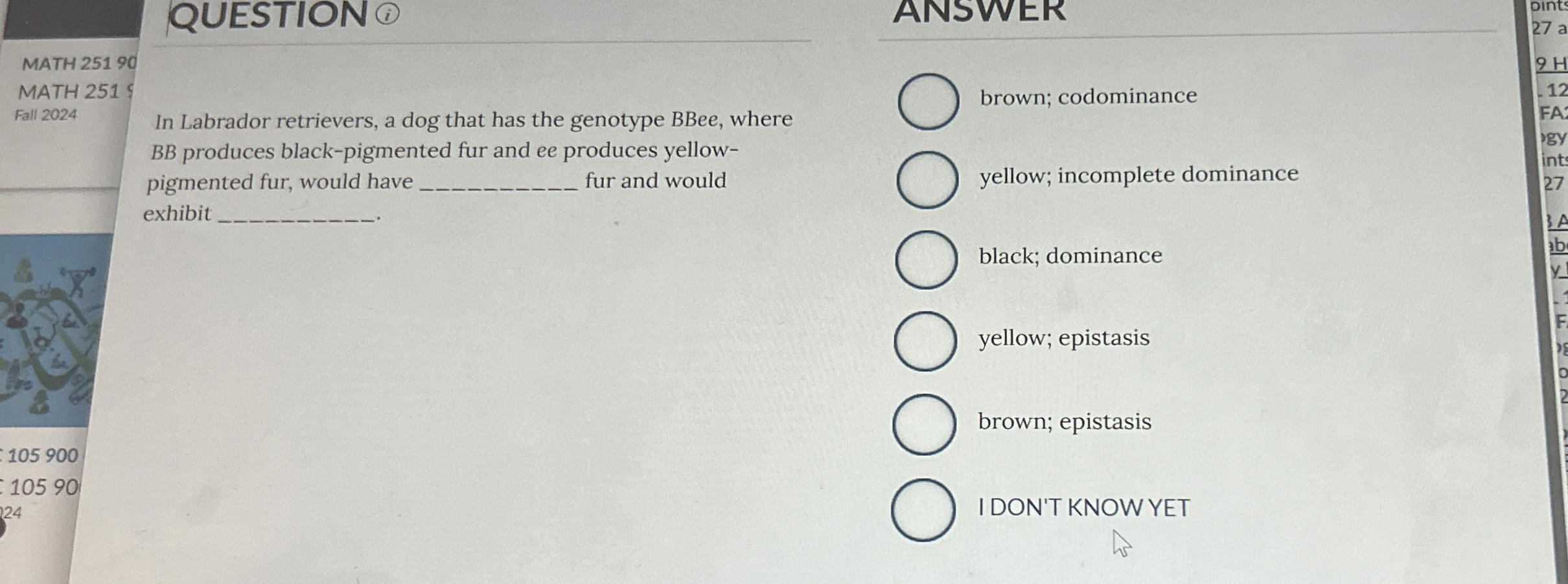 Solved QUESTION (1)MATH 25190MATH 251Fall 2024In Labrador | Chegg.com