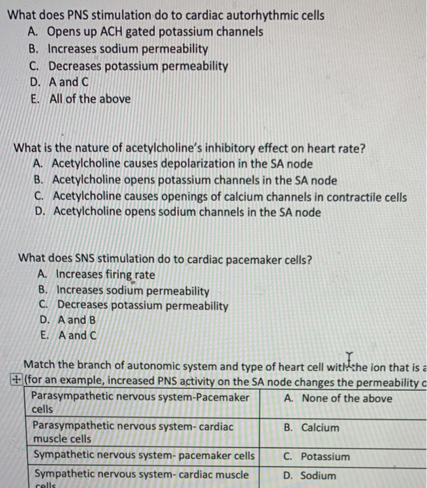 Solved What does PNS stimulation do to cardiac autorhythmic | Chegg.com