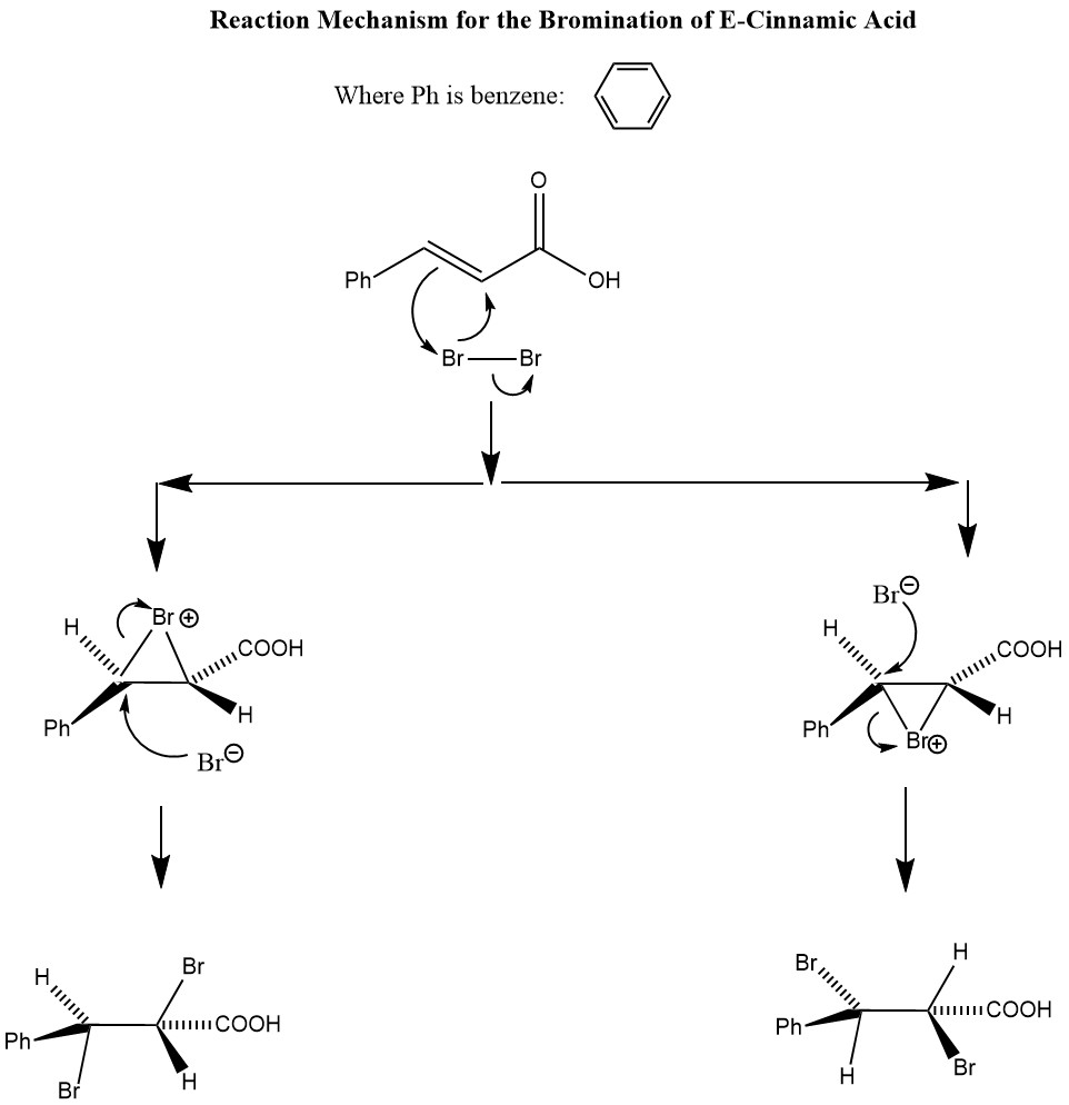 I don't undertamd the mechanism: Reaction Mechanism | Chegg.com