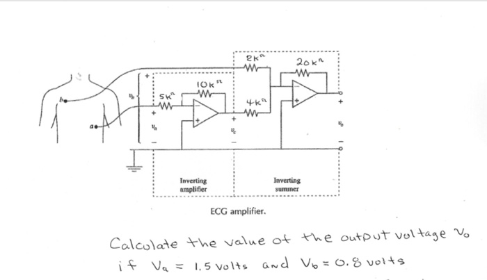 Solved 10k W SK Inverting amplifier Inverting summer ECG | Chegg.com