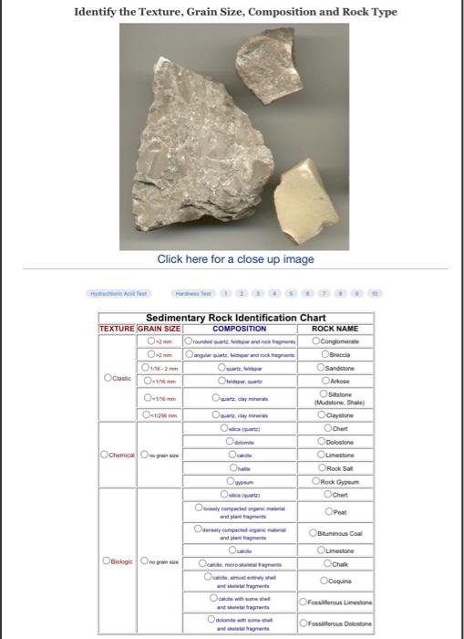 Solved Identify the Texture, Grain Size, Composition and | Chegg.com