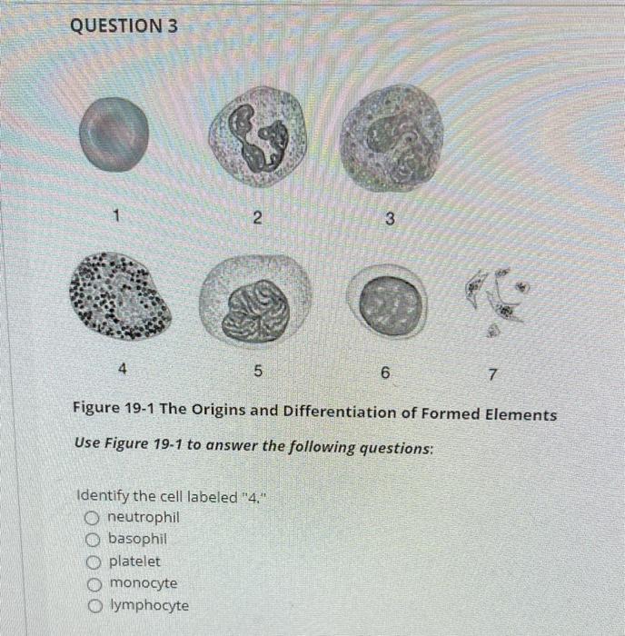 Solved QUESTION 3 2 3 4 5 6 7 Figure 19-1 The Origins and | Chegg.com Solved QUESTION 3 2 3 4 5 6 7 Figure 19-1 The Origins and | Chegg.com