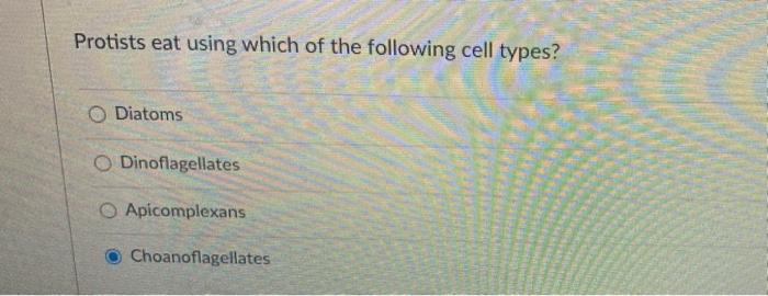 Solved Protists eat using which of the following cell types? | Chegg.com