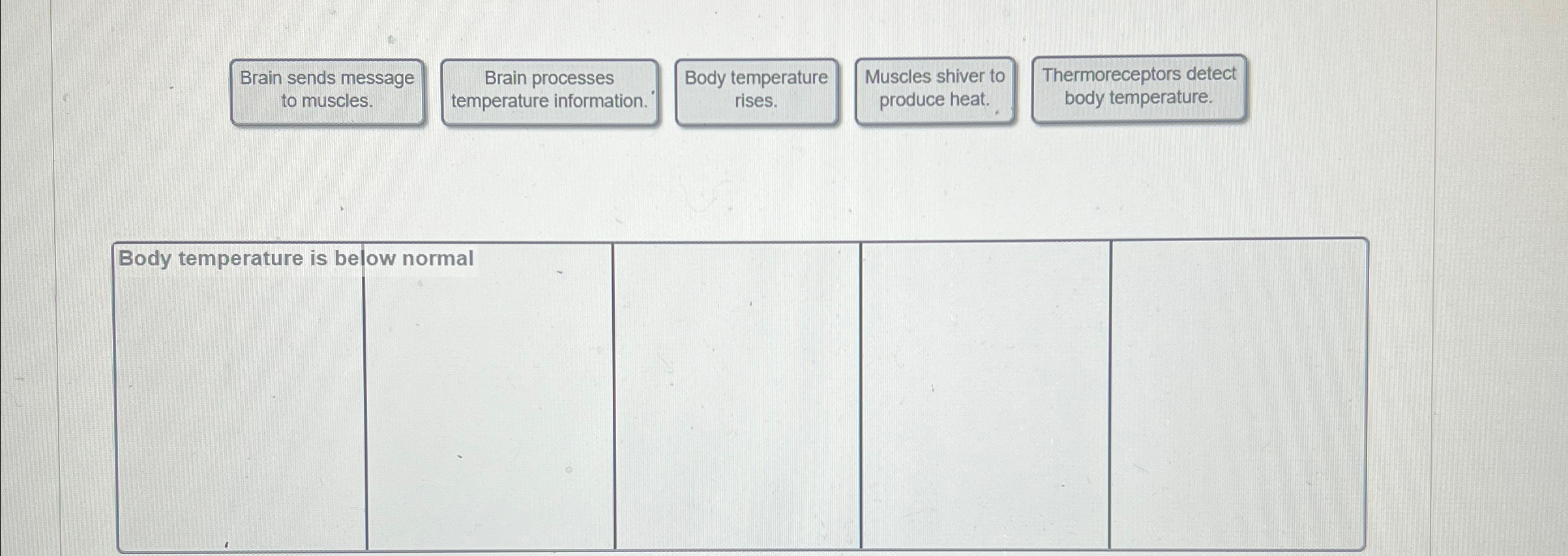 Solved Brain processesMuscles shiver toThermoreceptors | Chegg.com