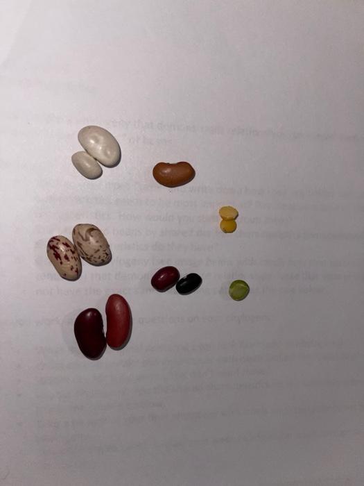 Solved Pictued are the 12 seeds that need to be in a | Chegg.com