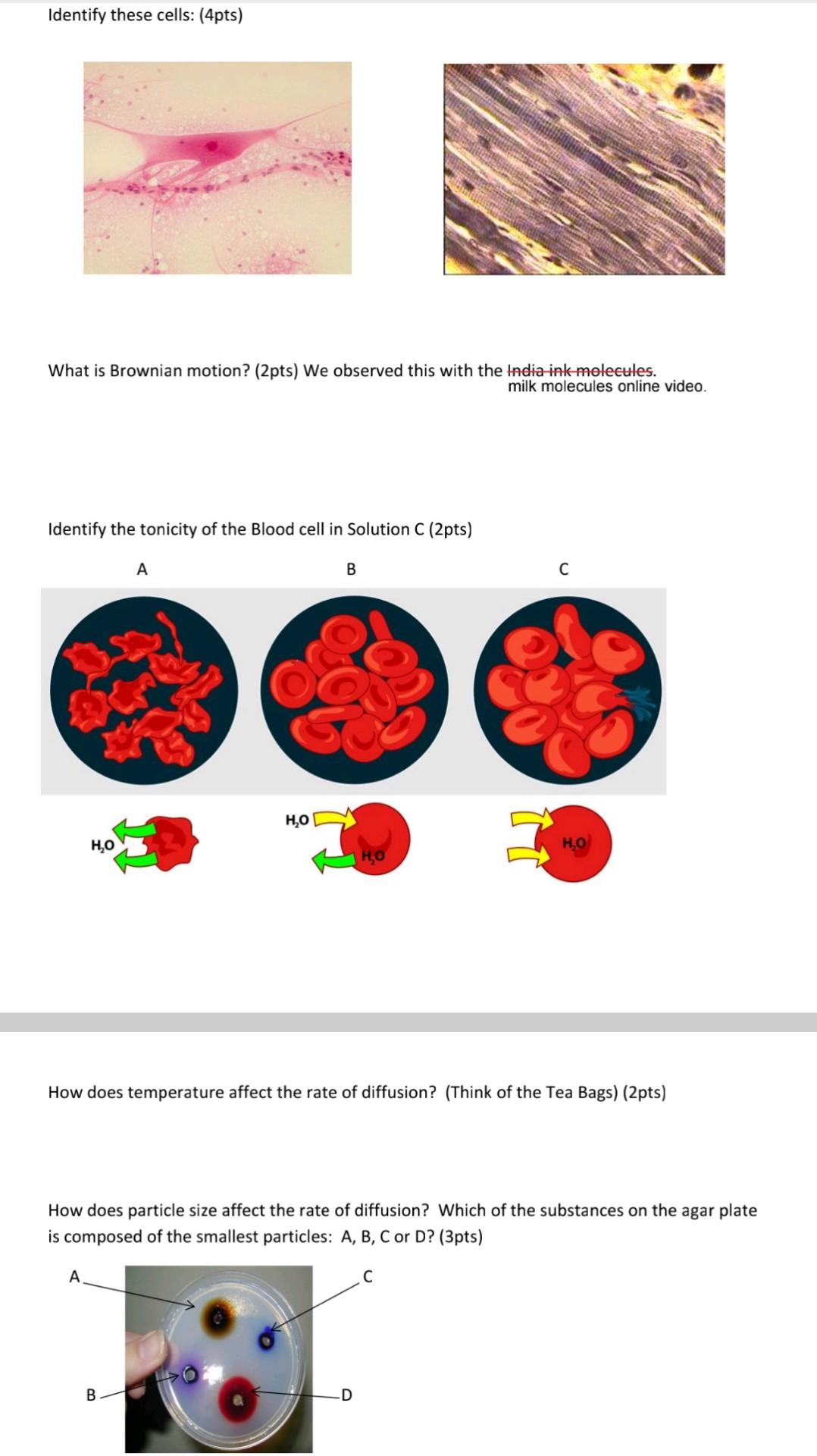 Solved How does the Paramecium move? With what specific | Chegg.com