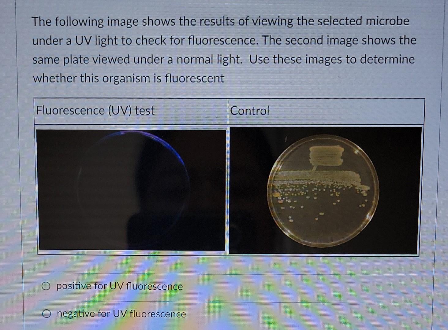 Solved The following image shows the results of viewing the | Chegg.com