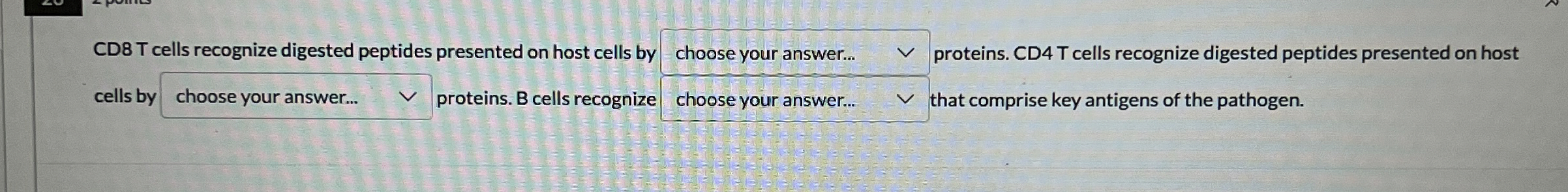 Solved CD8 ﻿T cells recognize digested peptides presented on | Chegg.com