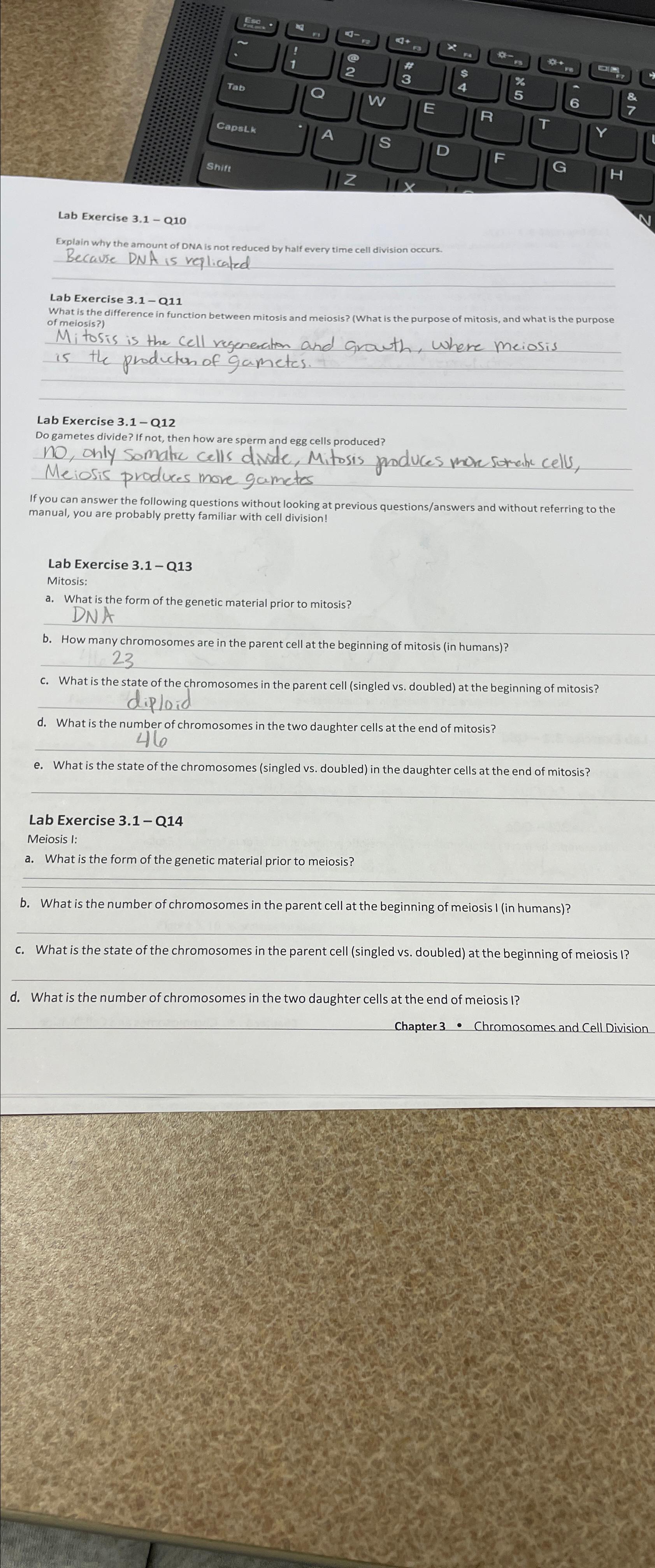 Solved Lab Exercise 3.1 - ﻿Q10Explain why the amount of DNA | Chegg.com