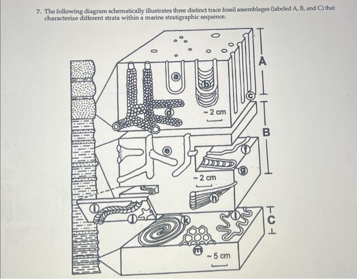 Solved B. The general characteristics of three recurring | Chegg.com