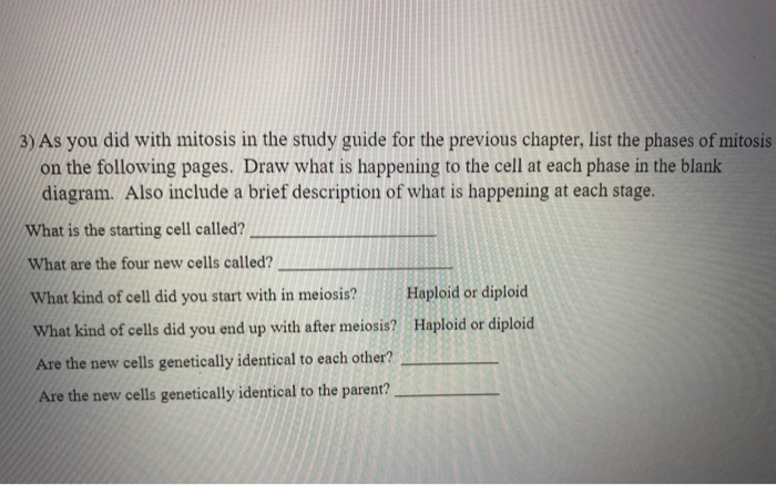 Solved 3) As you did with mitosis in the study guide for the | Chegg.com