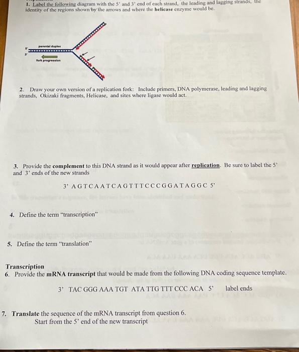 Solved 1. Label the following diagram with the 5′ and 3′ end | Chegg.com