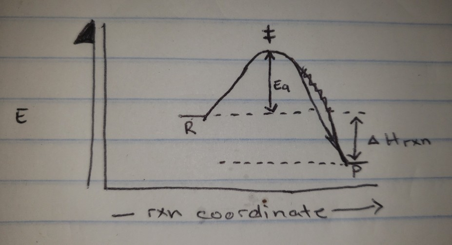 Solved - rxn coordinate- This reaction is an example of an | Chegg.com