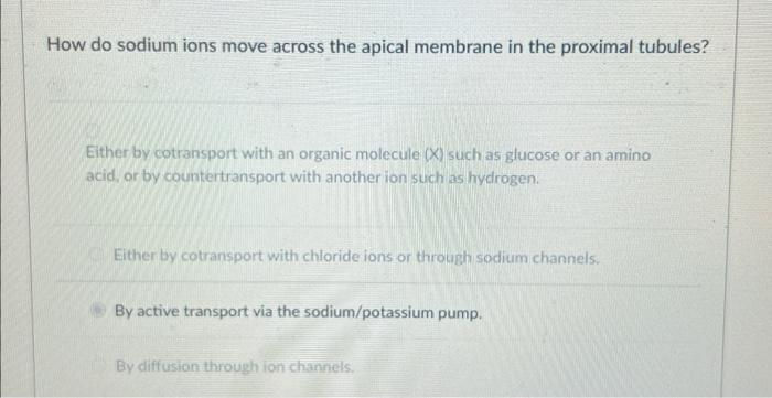 Solved How do sodium ions move across the apical membrane in | Chegg.com