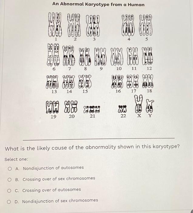Solved An Abnormal Karyotype from a Human What is the likely | Chegg.com