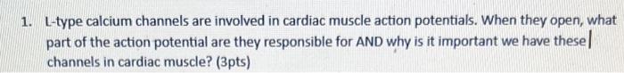 Solved 1. L-type calcium channels are involved in cardiac | Chegg.com