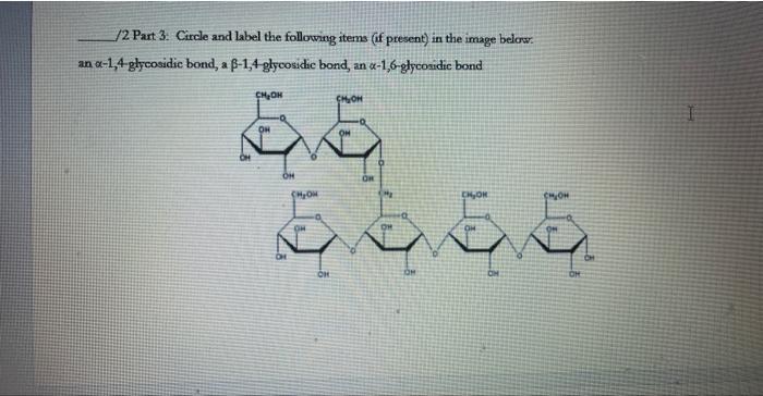 Solved /4 Part 1: Draw the following complete linear | Chegg.com