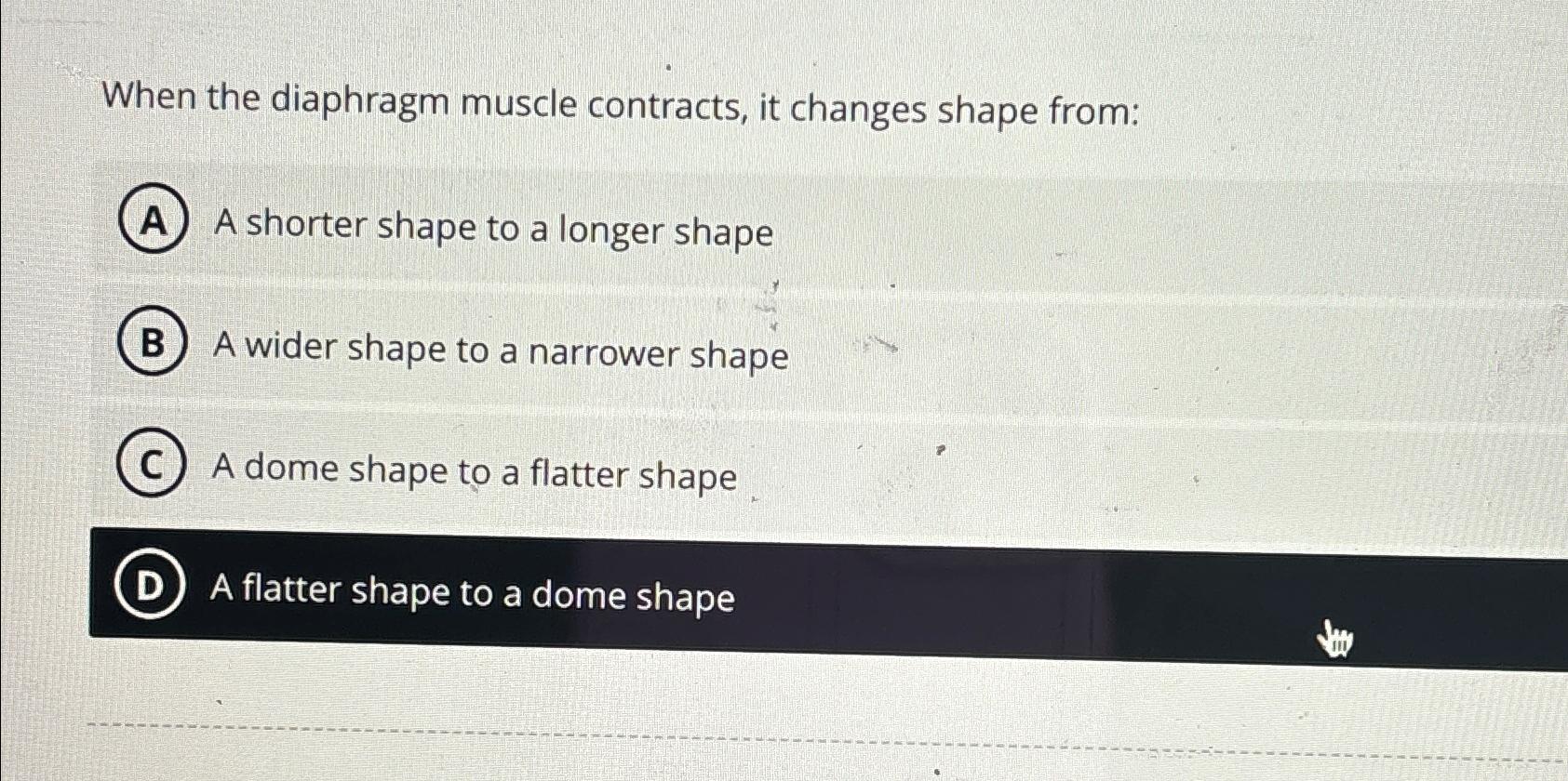 Solved When the diaphragm muscle contracts, it changes shape | Chegg.com