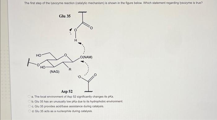 Solved The first step of the lysozyme reaction (catalytic | Chegg.com