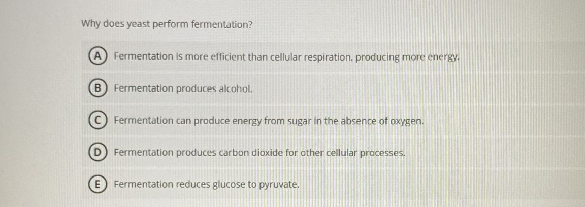 Solved Why does yeast perform fermentation?Fermentation is | Chegg.com